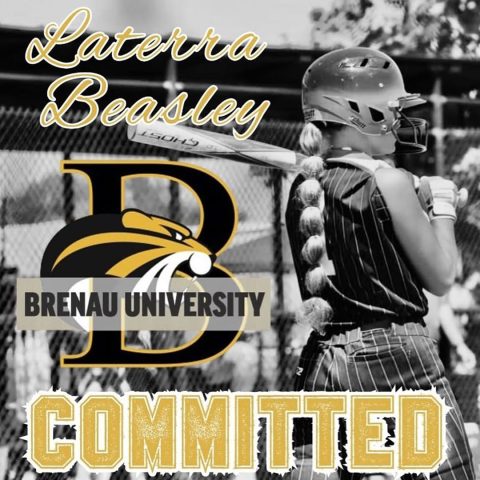 AP Fastpitch – Atlanta Premier Softball Organization