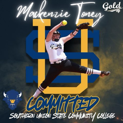 AP Fastpitch – Atlanta Premier Softball Organization