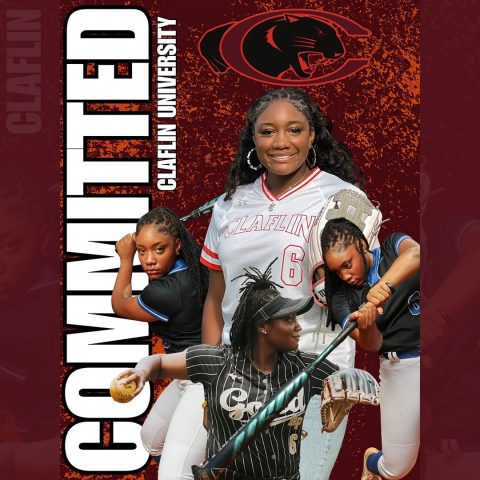 AP Fastpitch – Atlanta Premier Softball Organization