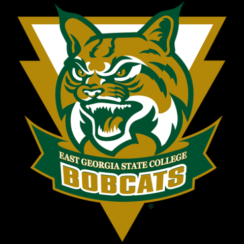 AP Fastpitch – Atlanta Premier Softball Organization