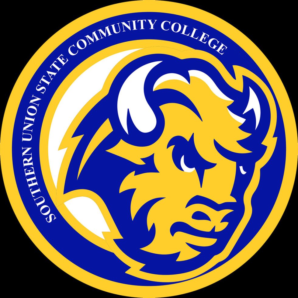 AP Fastpitch – Atlanta Premier Softball Organization